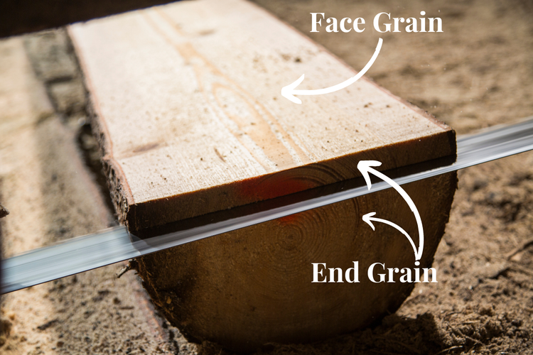 Intro to Wood as a Pyrography Artist — Wood Burn Corner