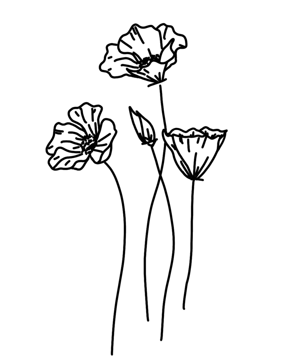 Free Radial Symmetry Poppy for Wood Burning — Wood Burn Corner