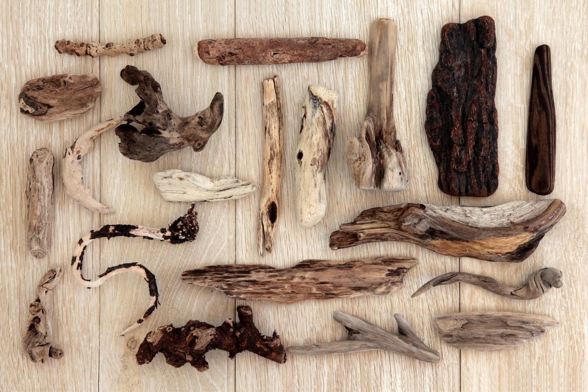 Common Wood Types You Should NEVER Burn On Wood Burn Corner