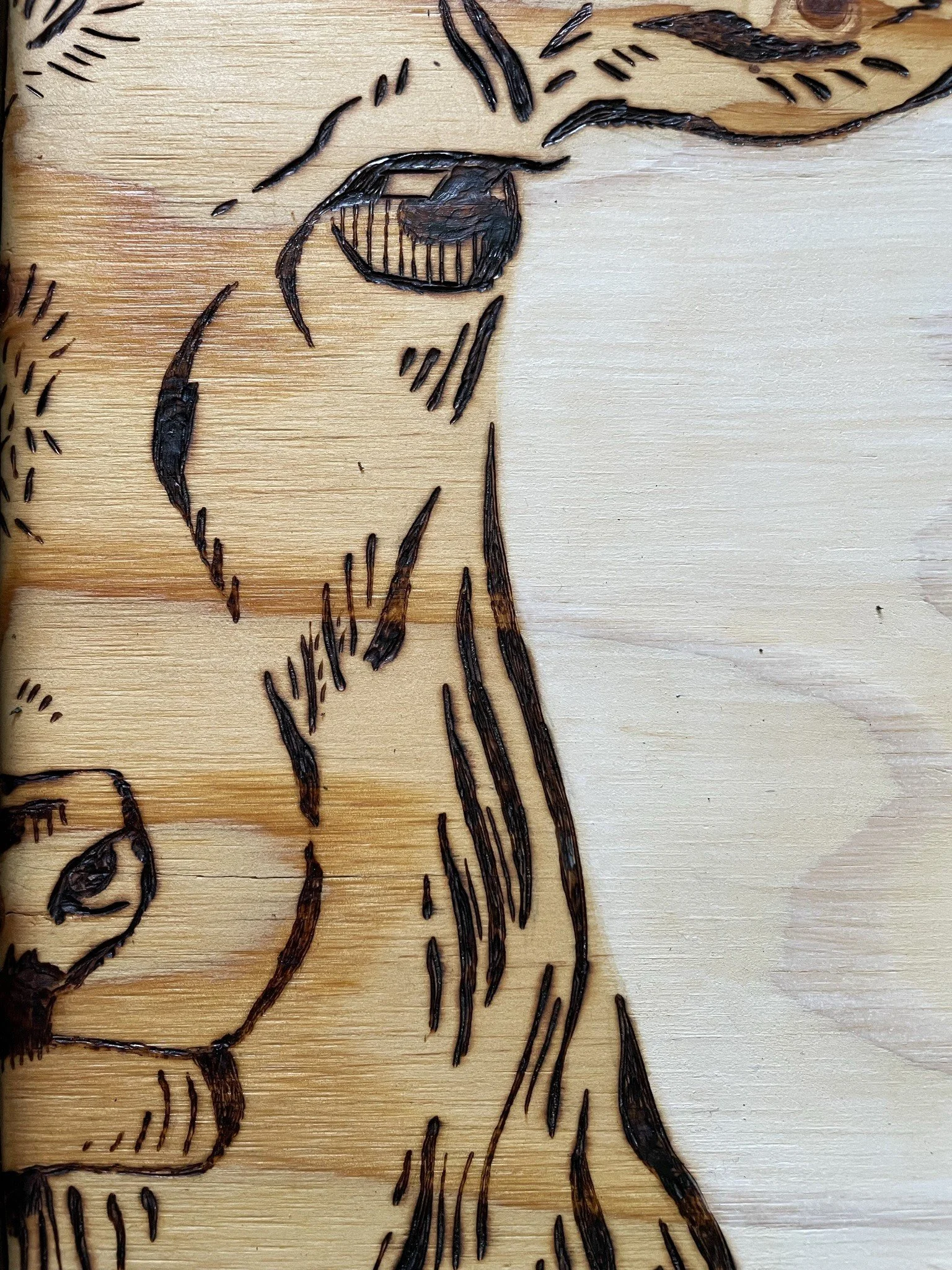 Hilary Jane Powers of Hilary Jane Studio — Wood Burn Corner