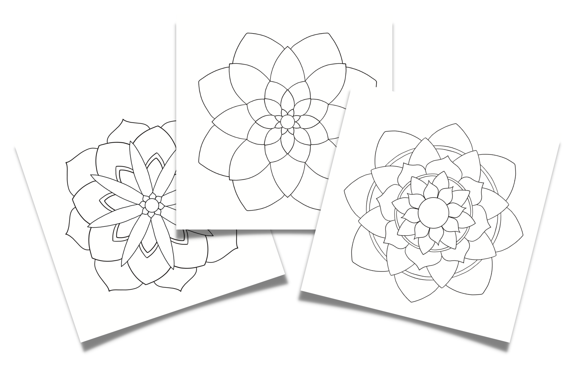 A Radial Symmetry Guide, Colouring + Tracing Pages Bundle — Wood Burn ...