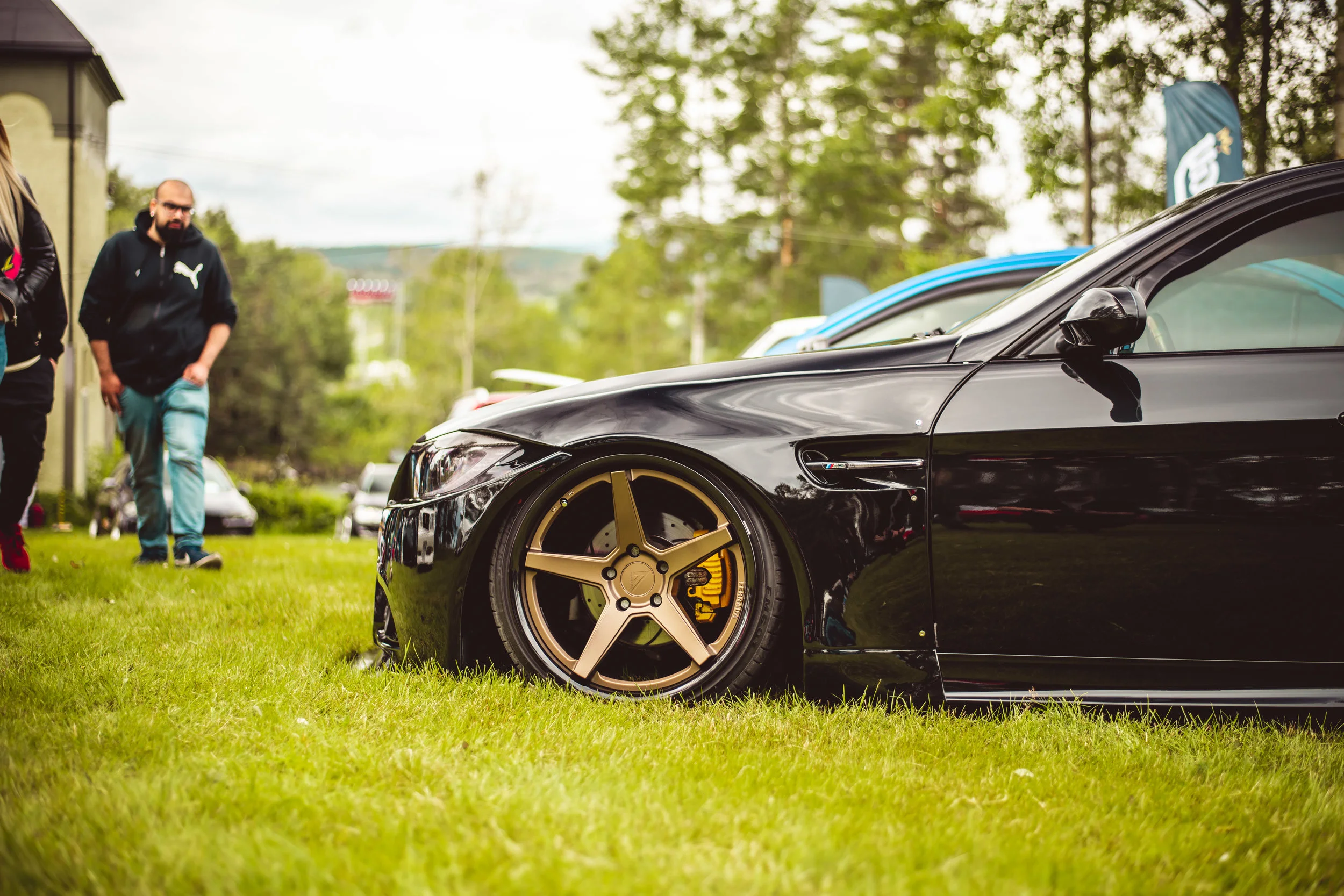 Lowfield — Thomas Dahl Tveter Photography