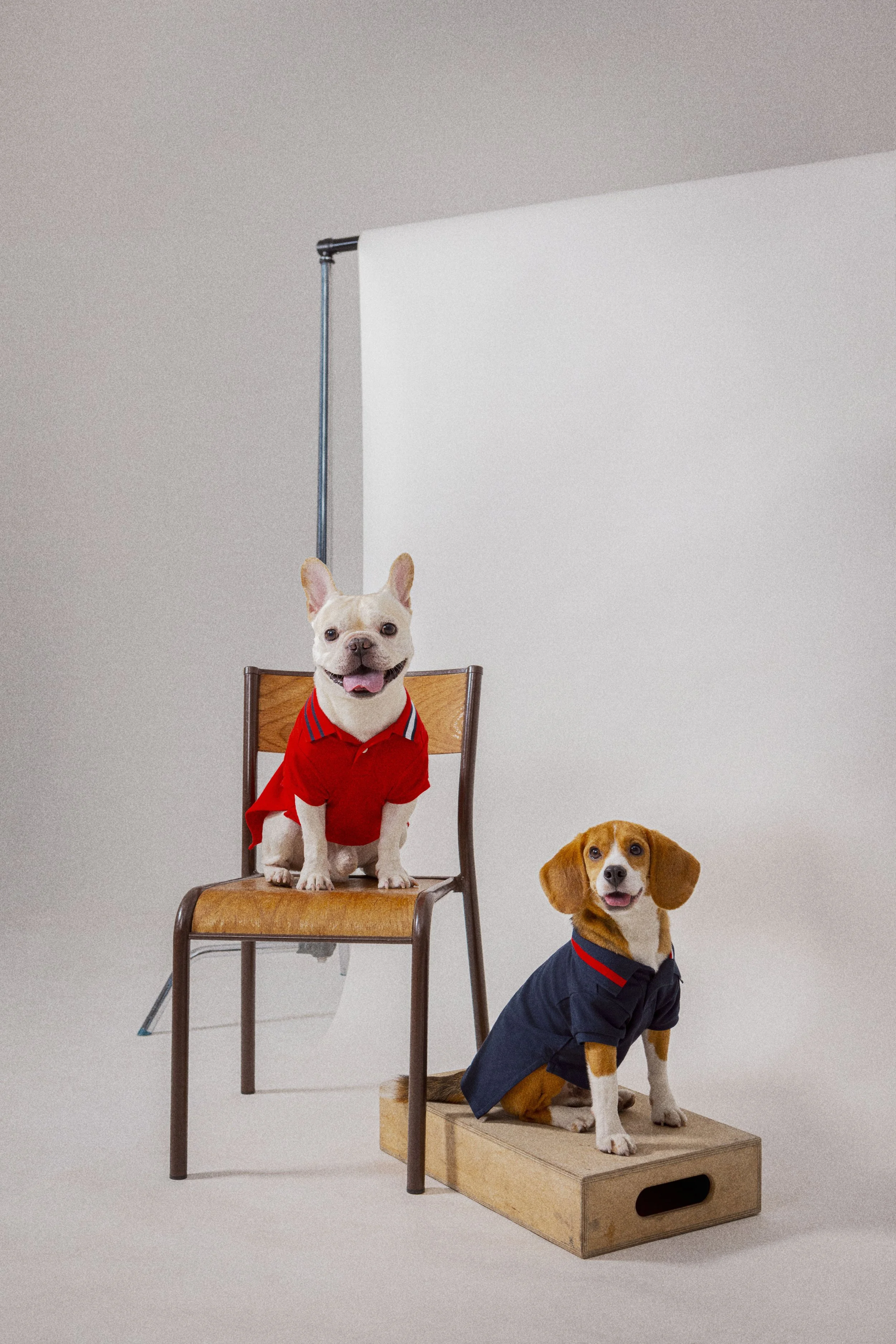 Tommy Hilfiger Enters Global License Agreement With Kanine To Launch ...