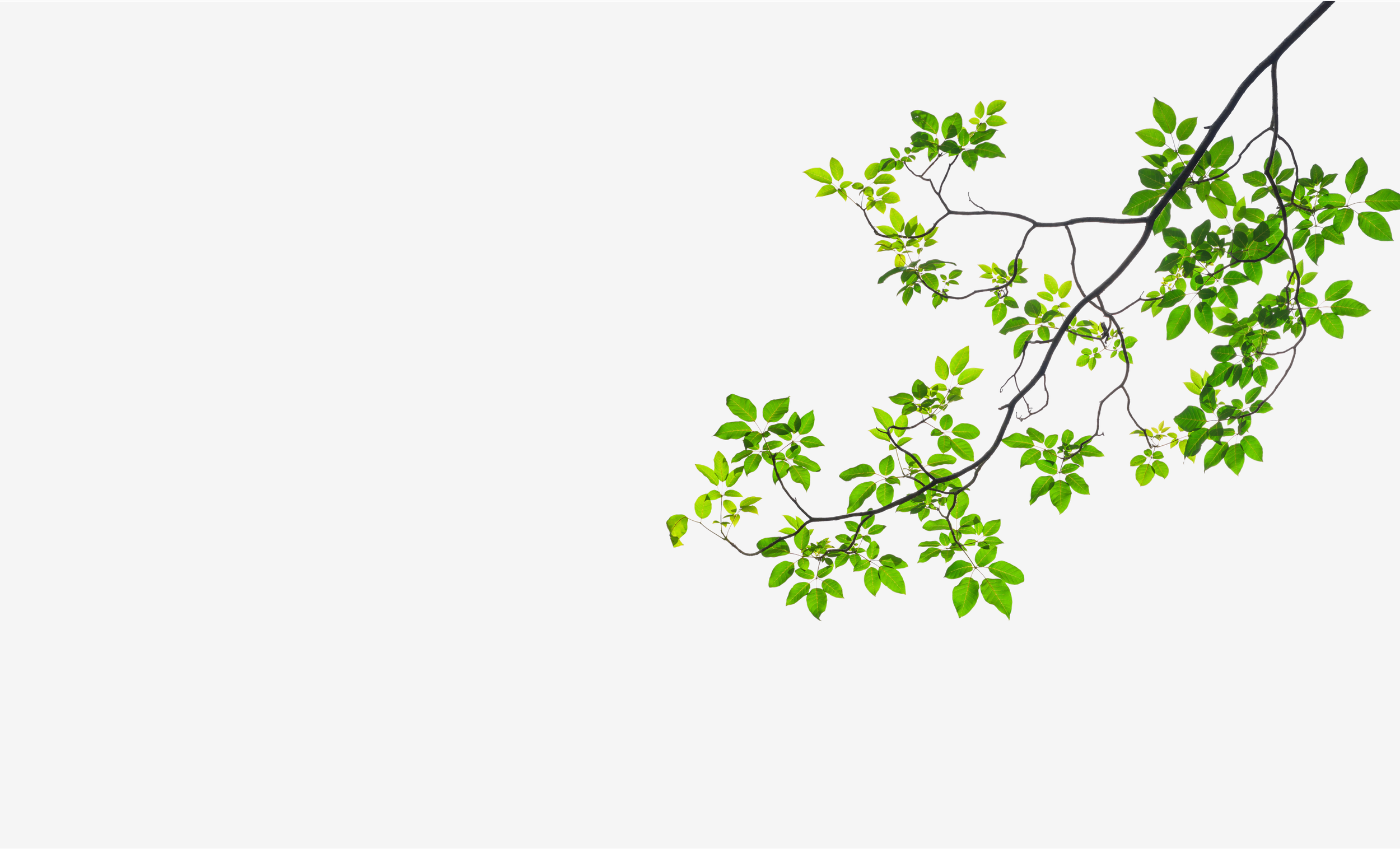 Contact — Peak Boxes