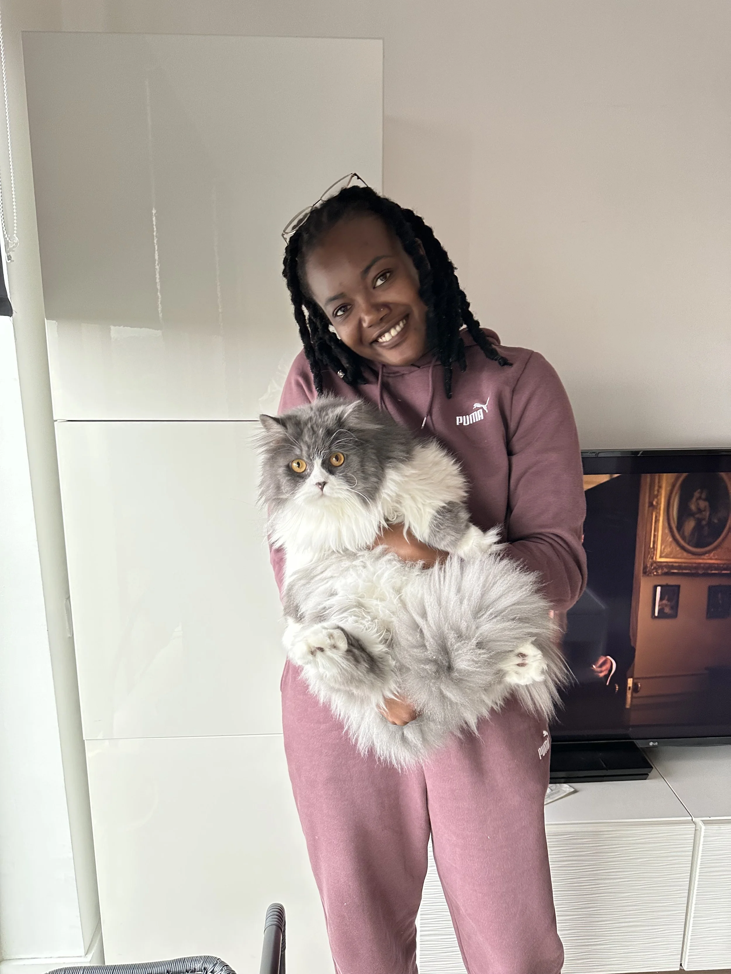 Cat Sitting London — Chatty Cats Care