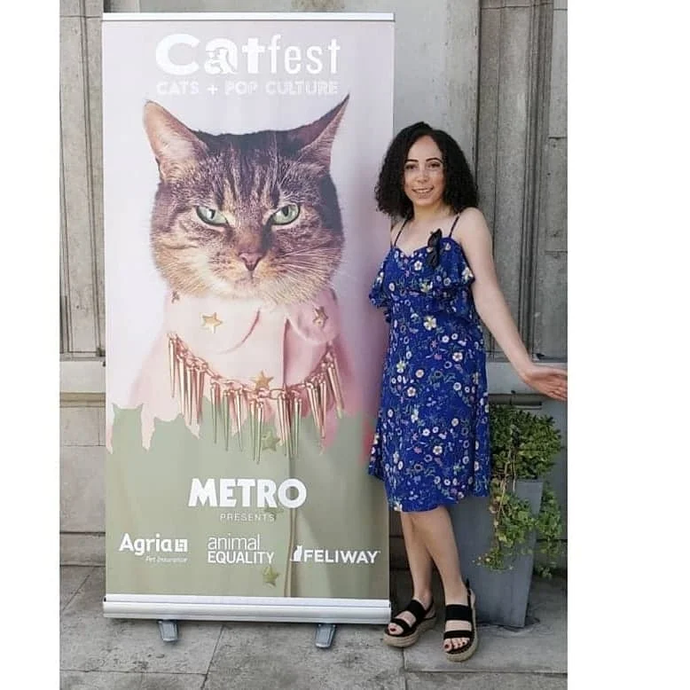 Cattery & Cat Sitting London ,UK | Our First Chatty Cats Care Event at ...