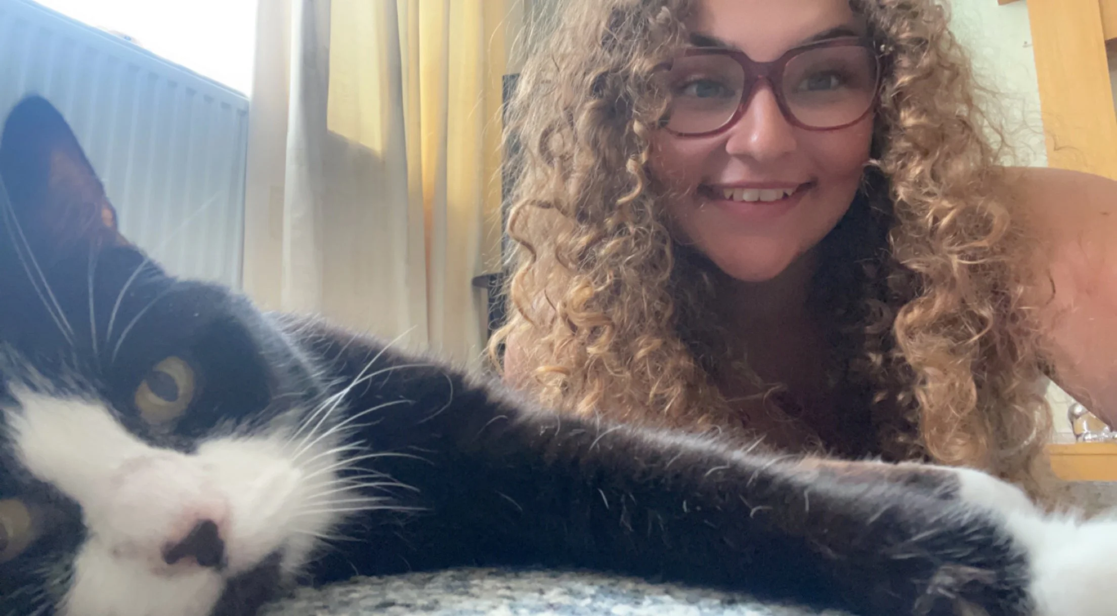 Cat Sitting London — Chatty Cats Care