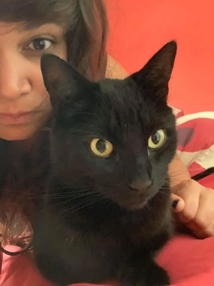 Cat Sitting London — Chatty Cats Care