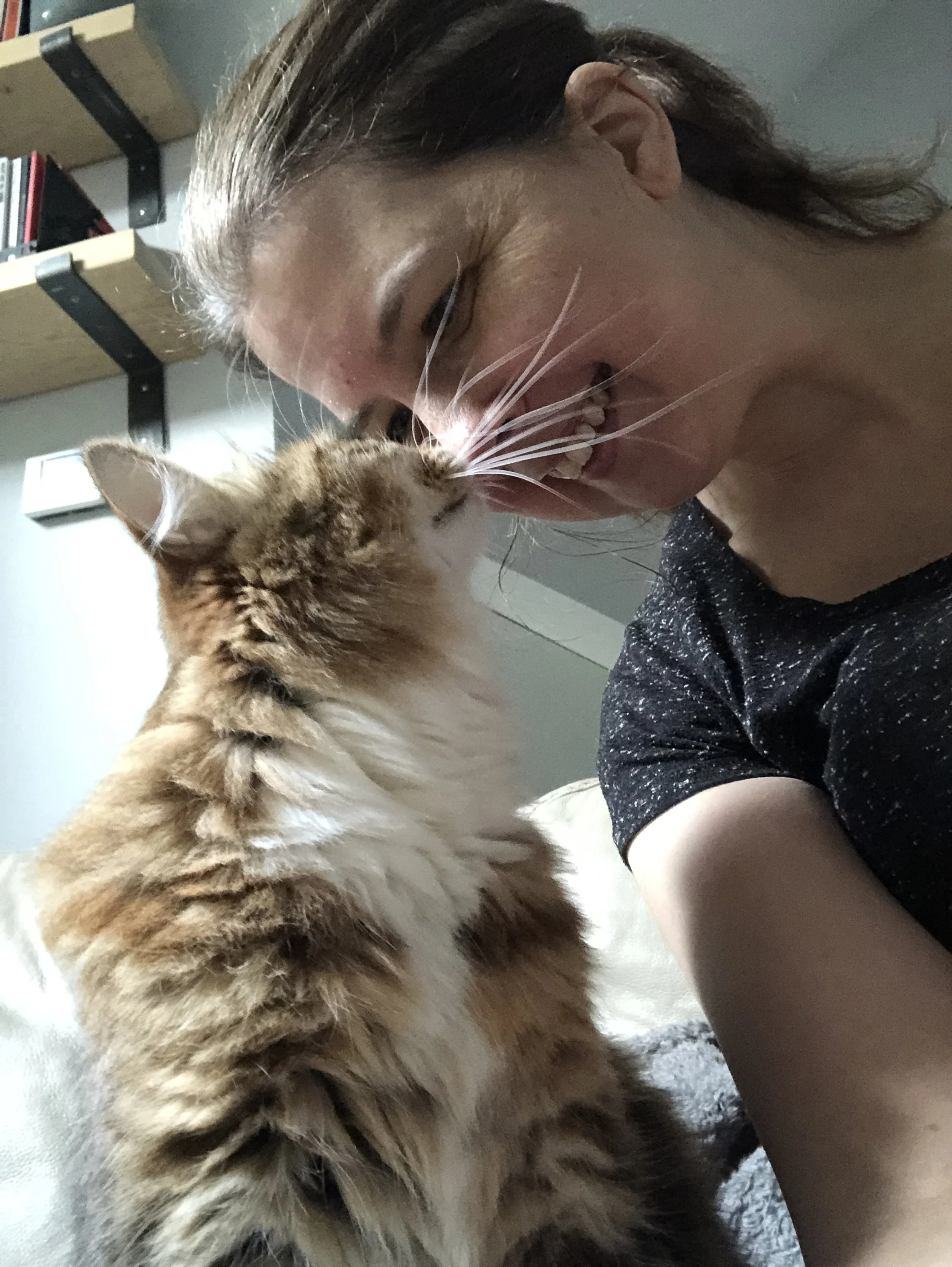 Cat Sitting London — Chatty Cats Care