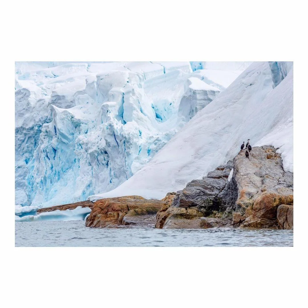 TRUE adventure to Antarctica — Project: We Travel