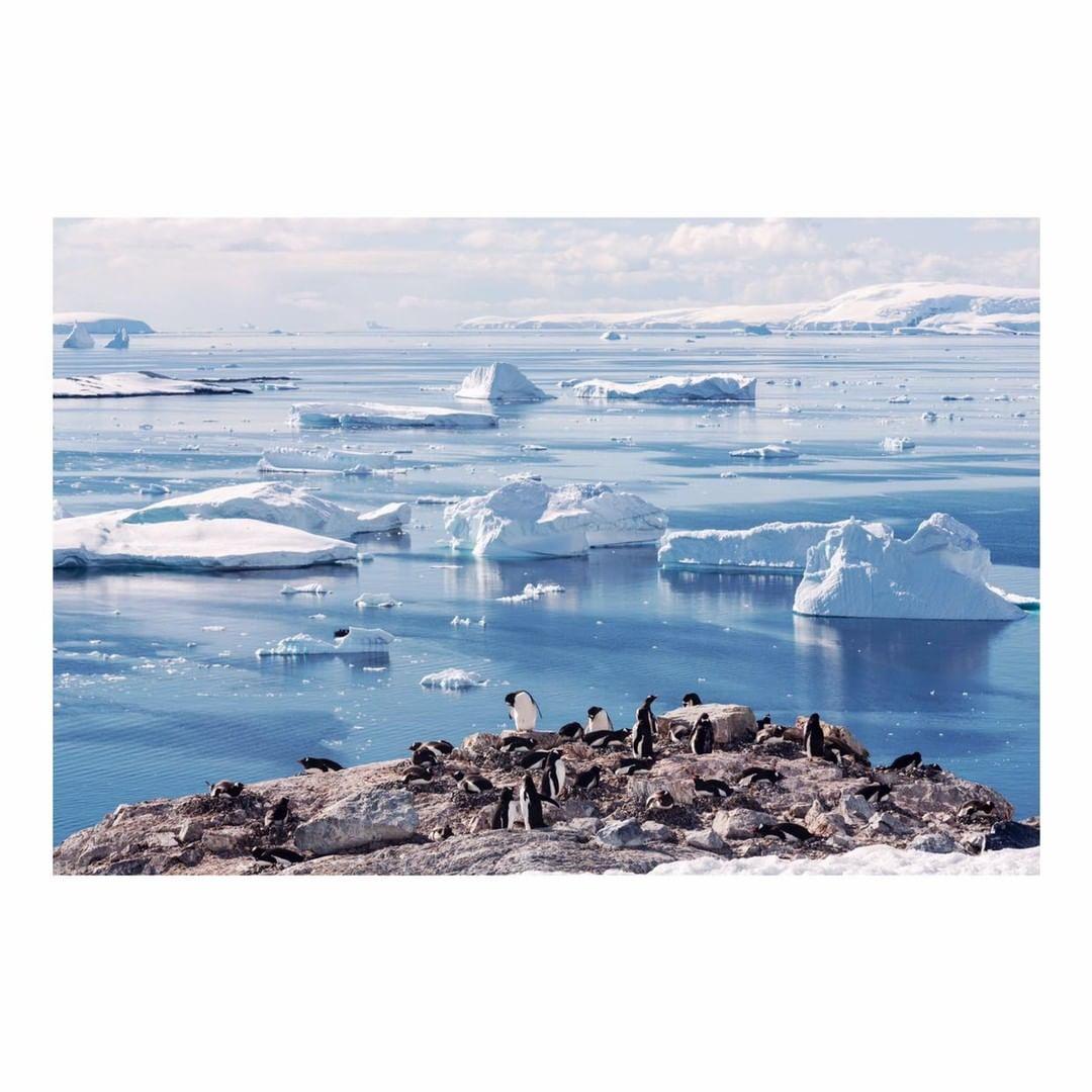 TRUE adventure to Antarctica — Project: We Travel