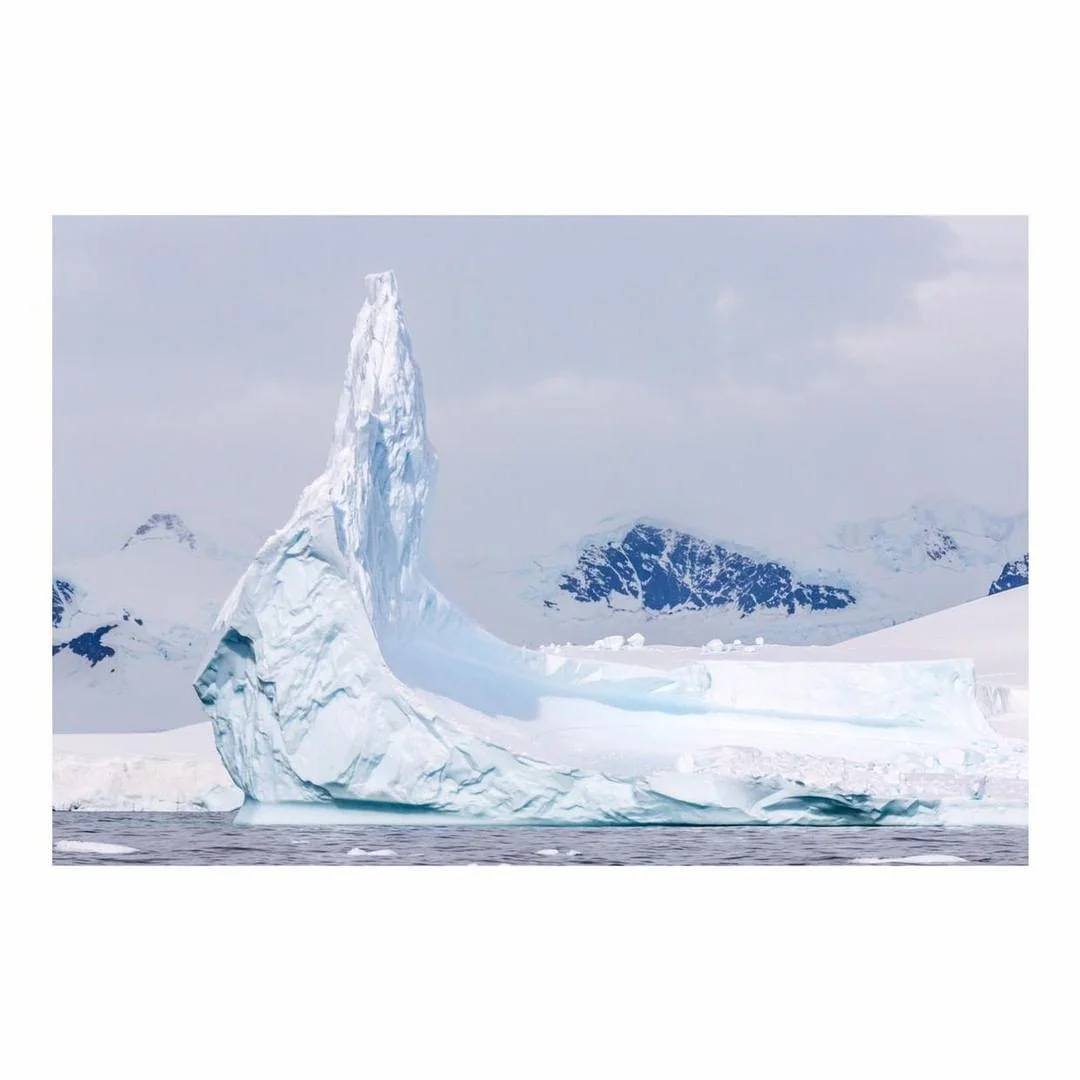 TRUE adventure to Antarctica — Project: We Travel