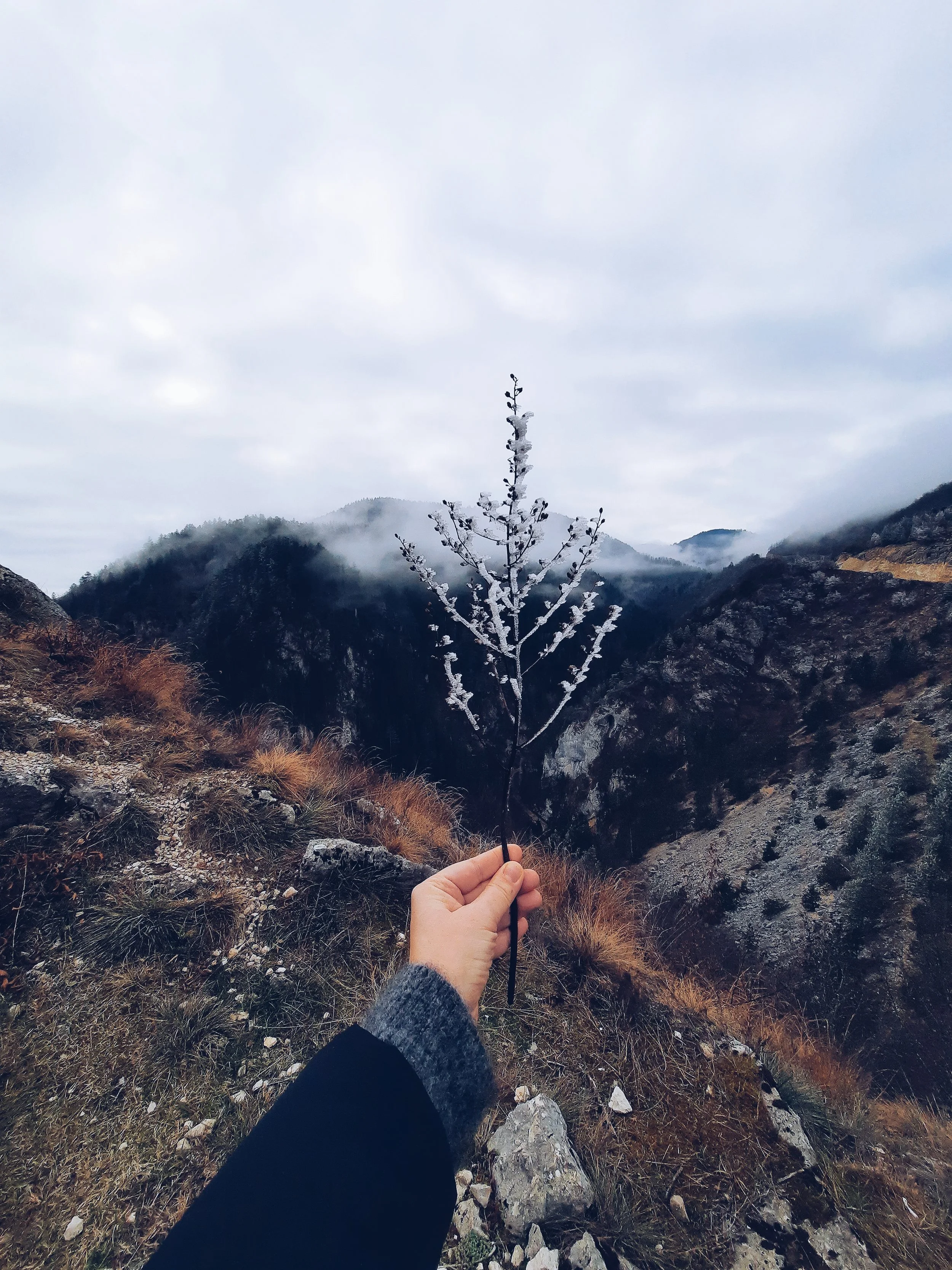 U planine zajedno s Nevenom s bloga Hleb i Lale — Project: We Travel