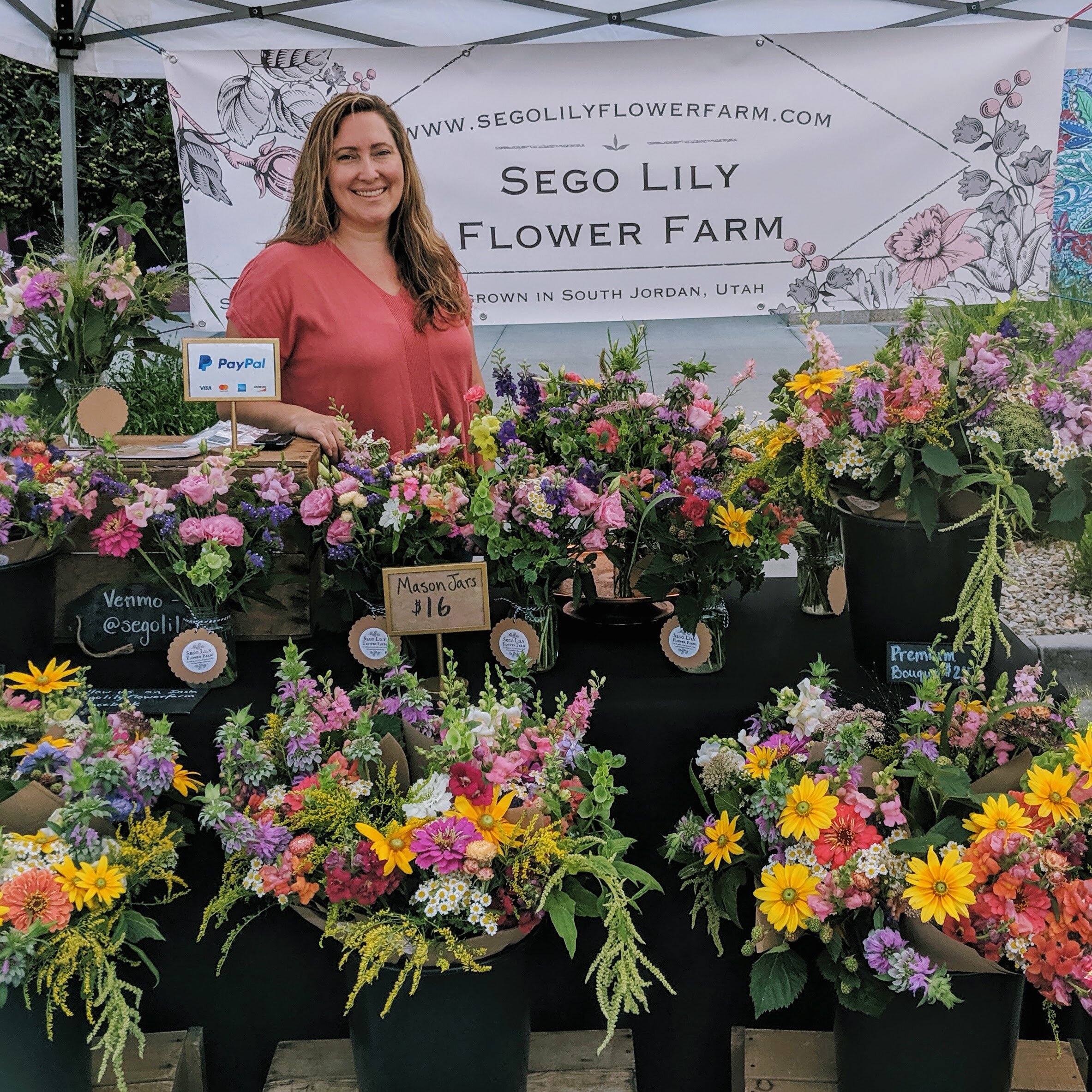 What Does The Sego Lily Flower Look Like | Best Flower Site