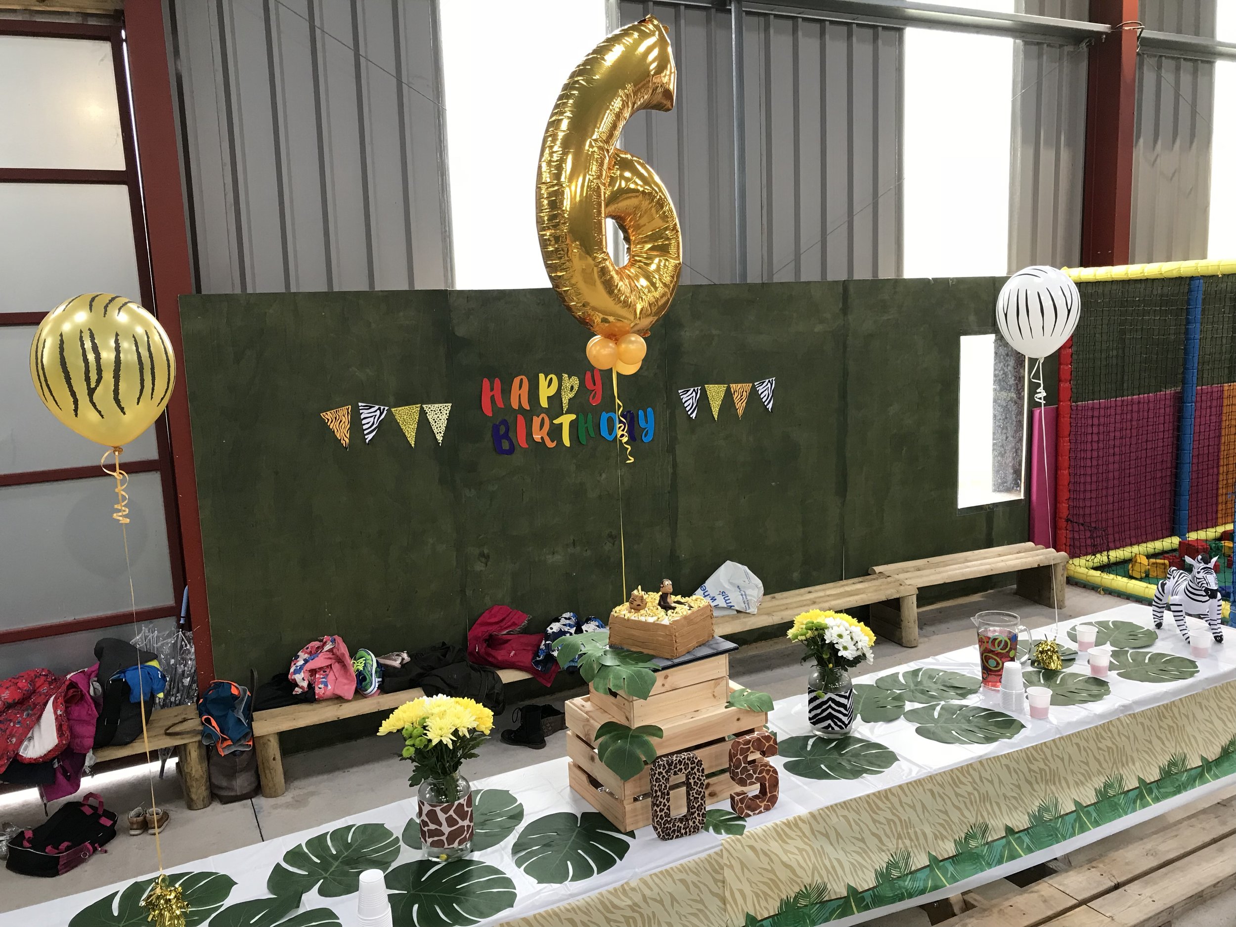 Birthday Parties — Raglan Farm Park