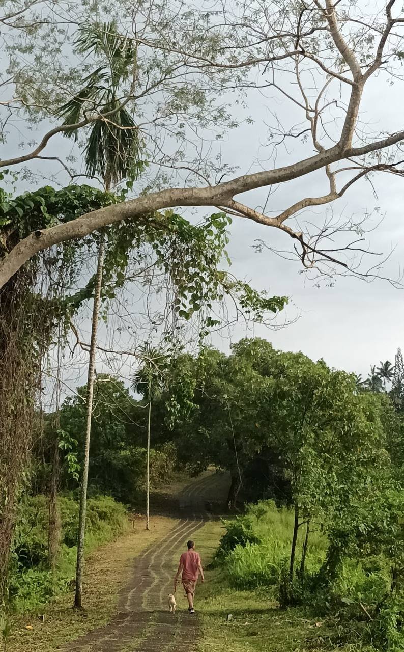 BALI In Worten – Mein Kakak-Laki-Laki-Teil — Trees-eZine