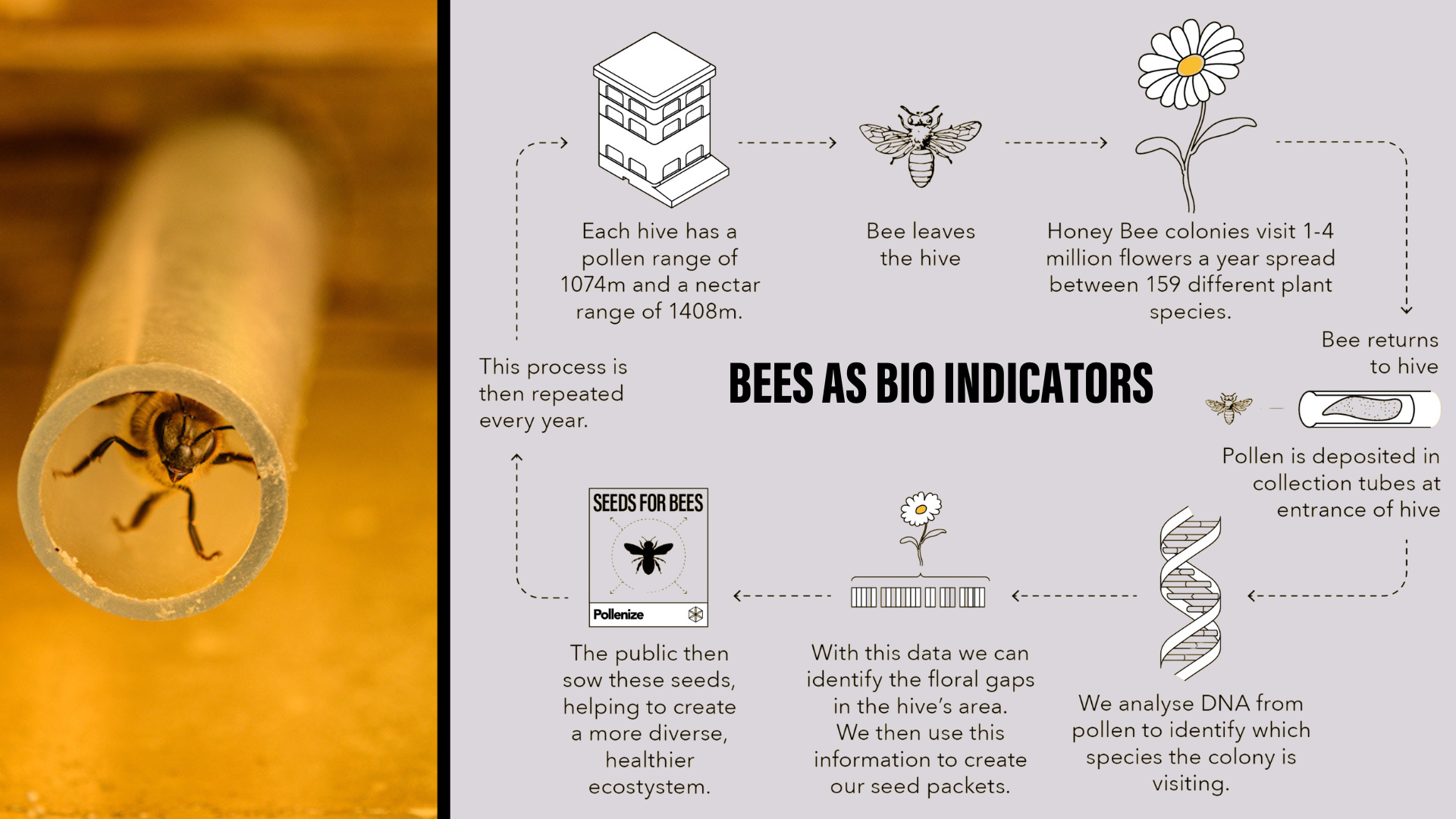 Aerospace Cornwall — The Far Out Thinking Company