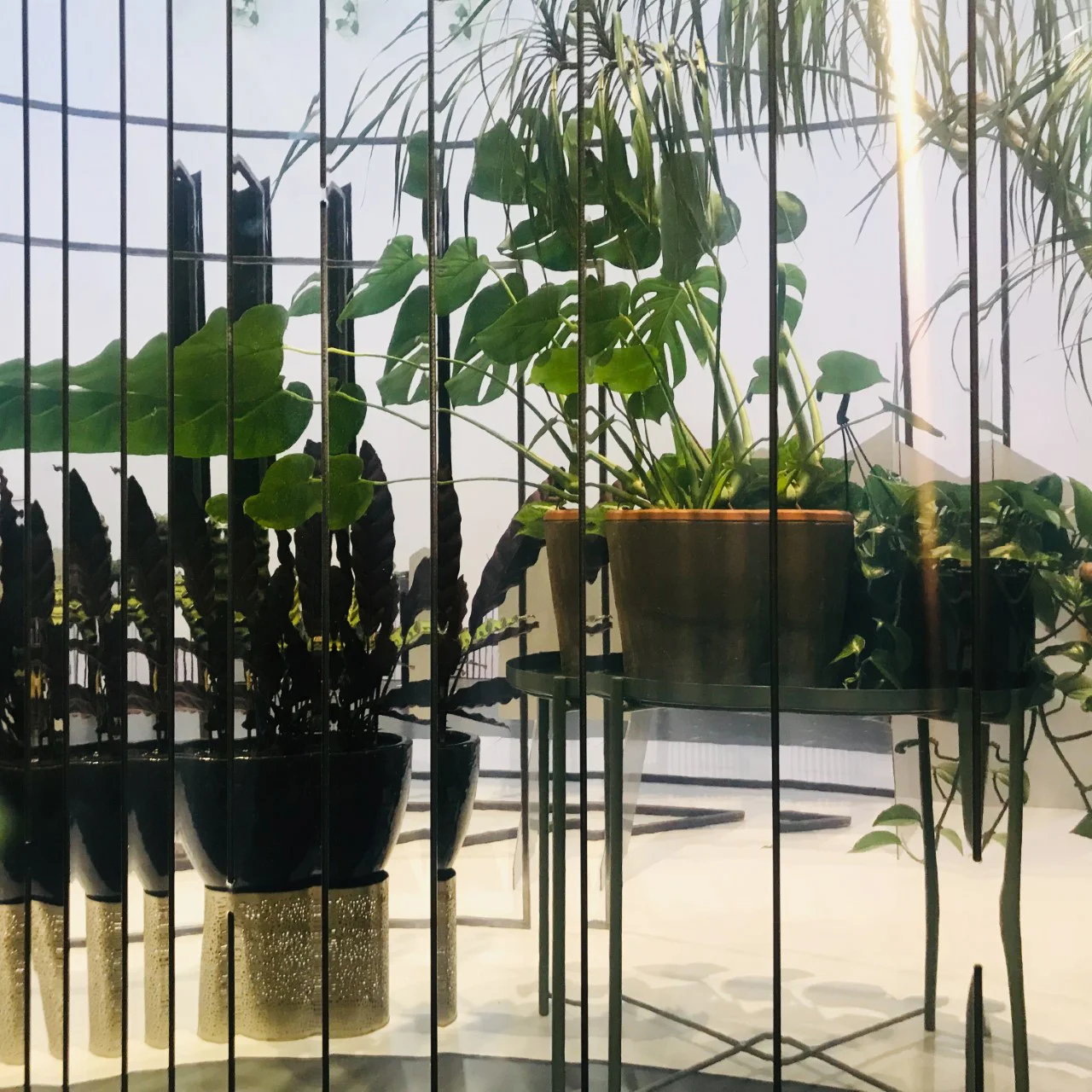 Observation Rooms at Arthouse1 — Rosalind Davis