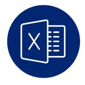 Excel Functions for Private Equity: Format Painter — Top Shelf® Models