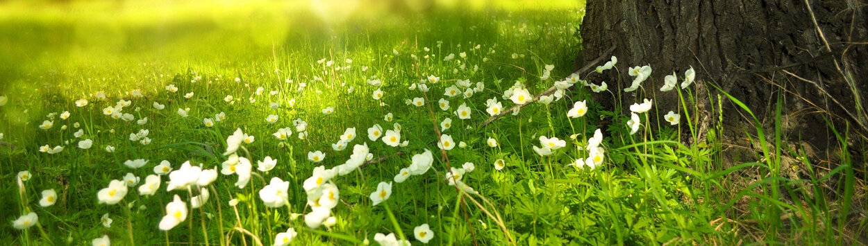 Kent, CT Chamber Of Commerce