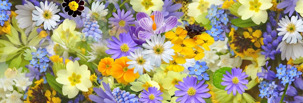 Kent, CT Chamber Of Commerce