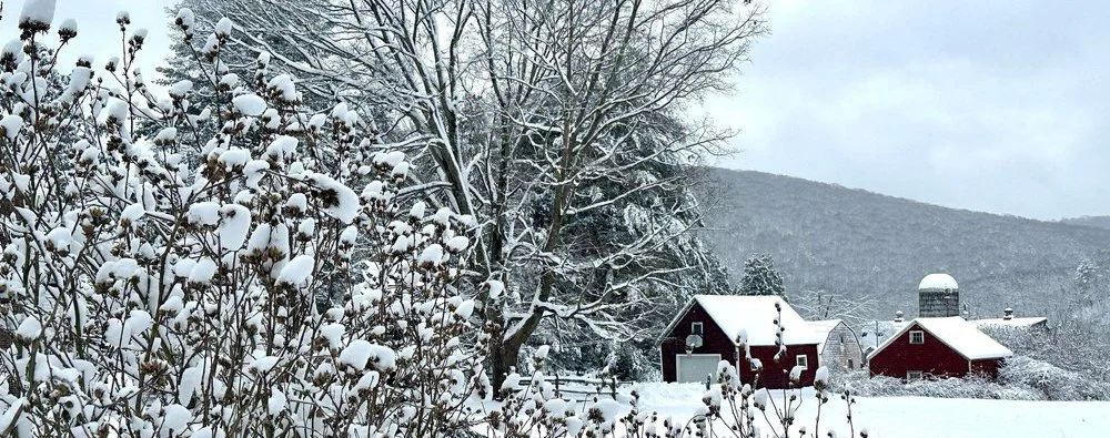 Winter In Kent