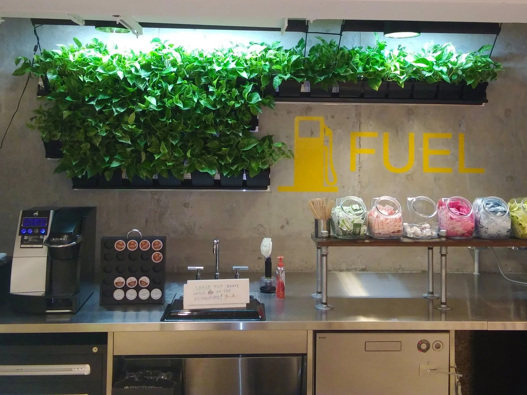 Chicago Interior Plant Design | Horticultural Services | IGS