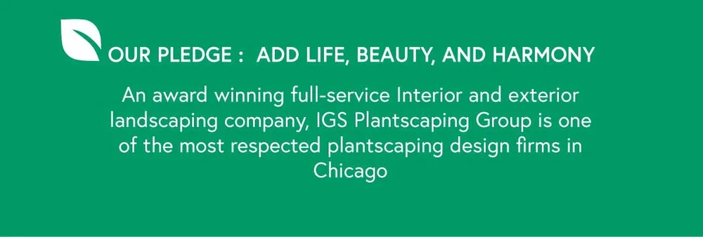 Chicago Office Plant Services | Interior Landscaping Company | IGS ...