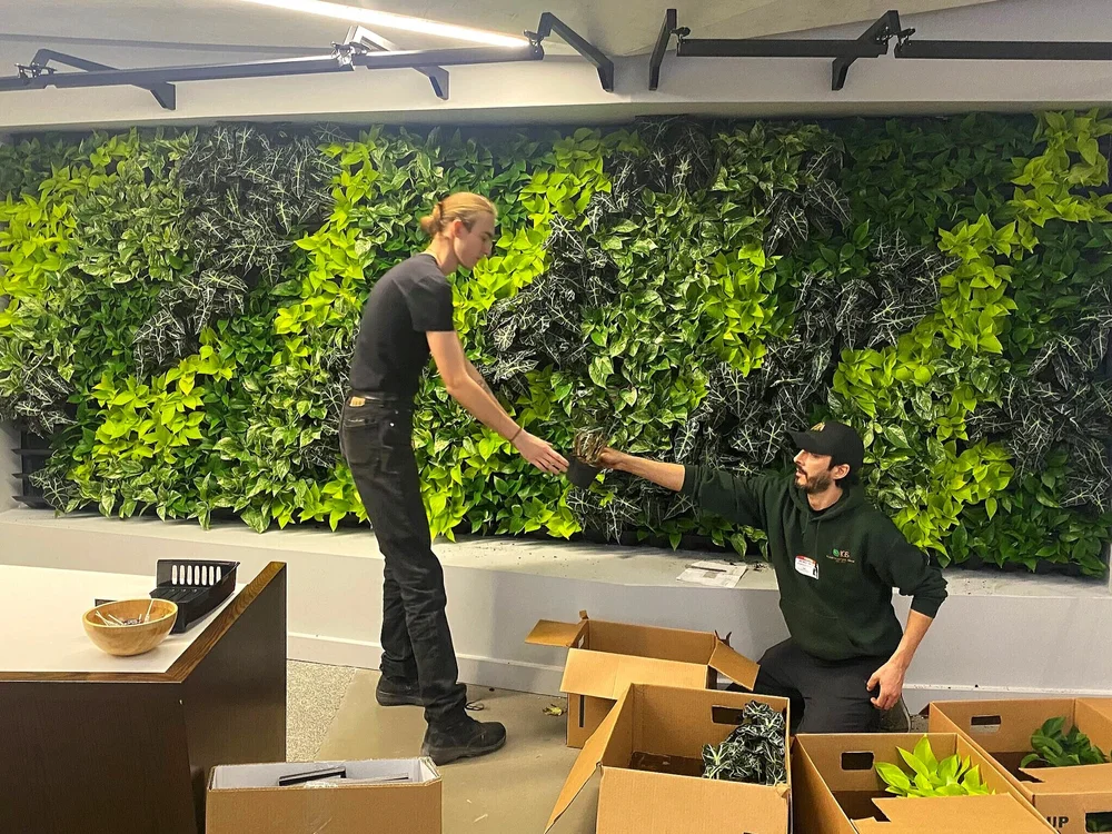 Chicago Interior Plant Design | Horticultural Services | IGS