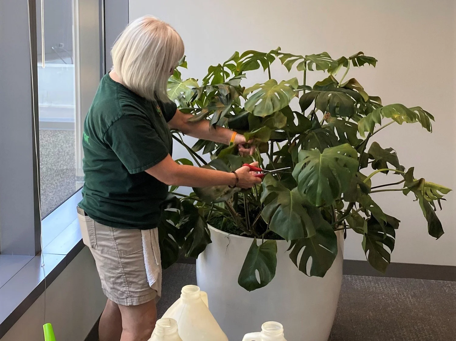 Chicago Interior Plant Design | Horticultural Services | IGS