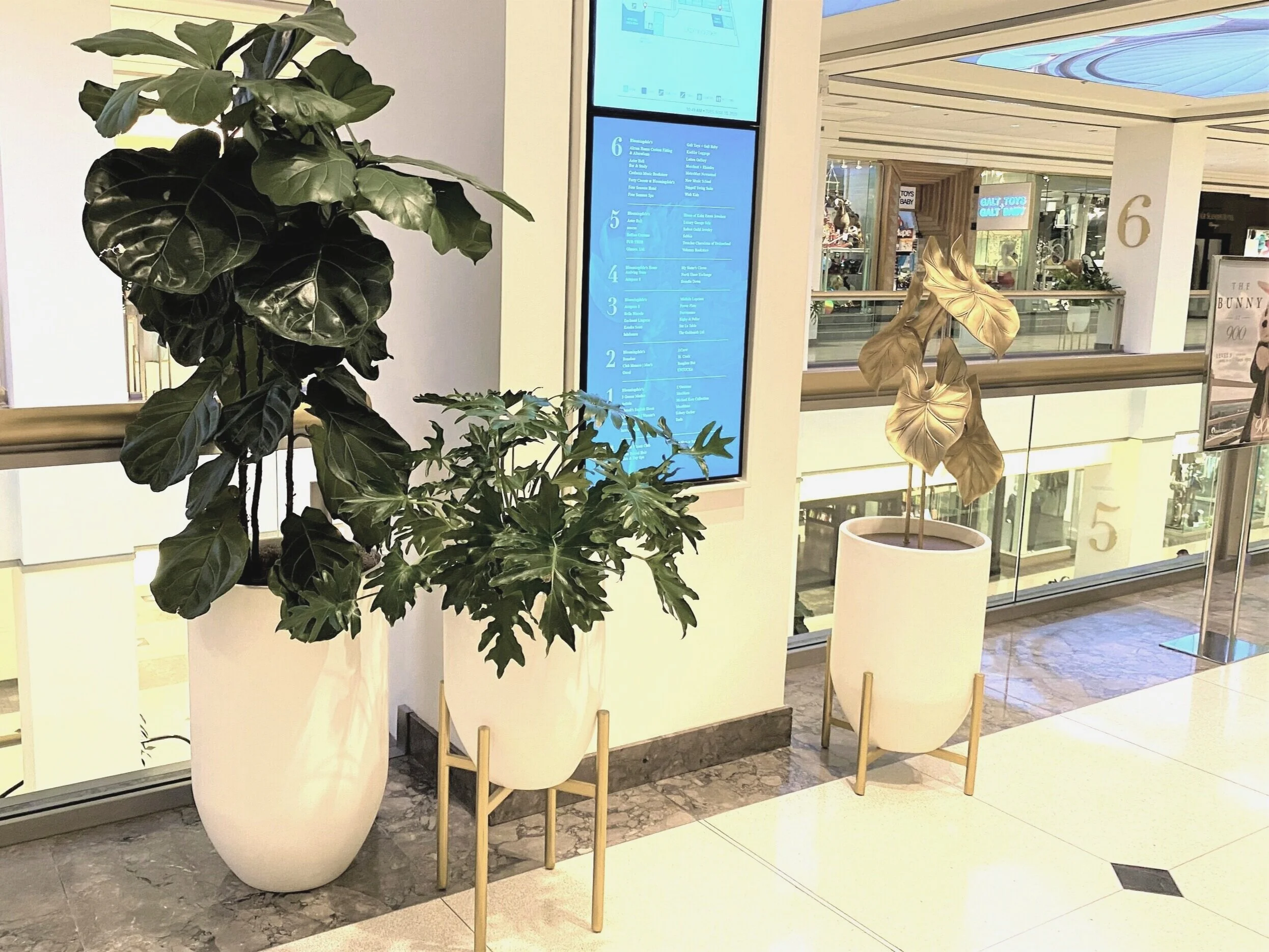 Chicago Plant Walls & Office Plants | Interior Landscaping | IGS — IGS ...