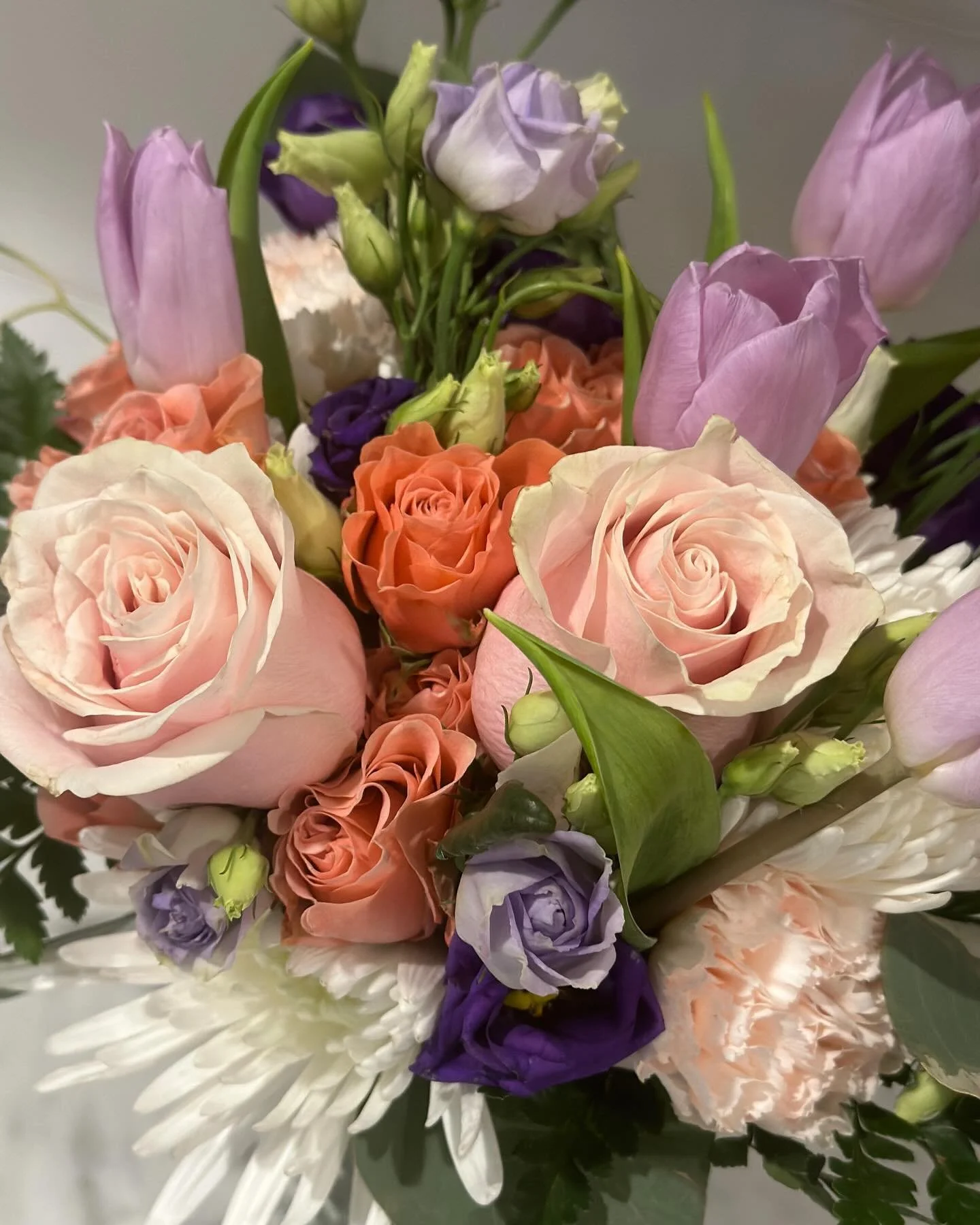 Chicago Interior Plant Design | Horticultural Services | IGS