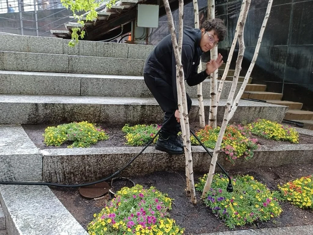 Chicago Interior Plant Design | Horticultural Services | IGS