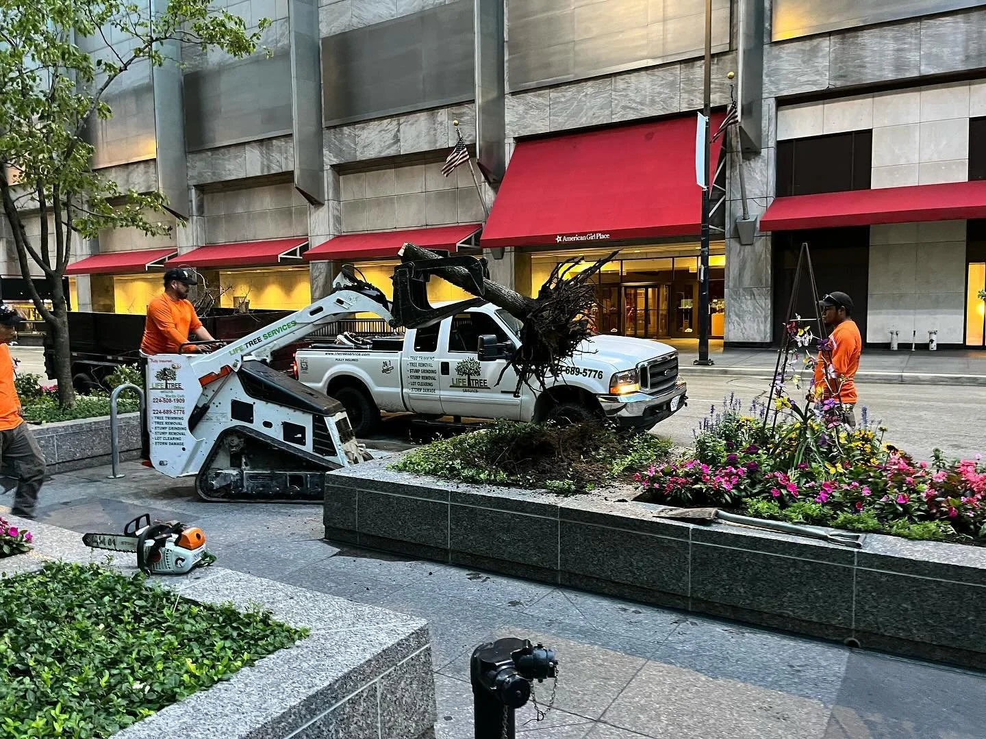 Chicago Interior Plant Design | Horticultural Services | IGS