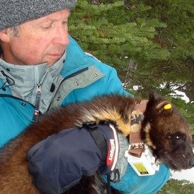 Advisory Board — Liz Claiborne Art Ortenberg Foundation