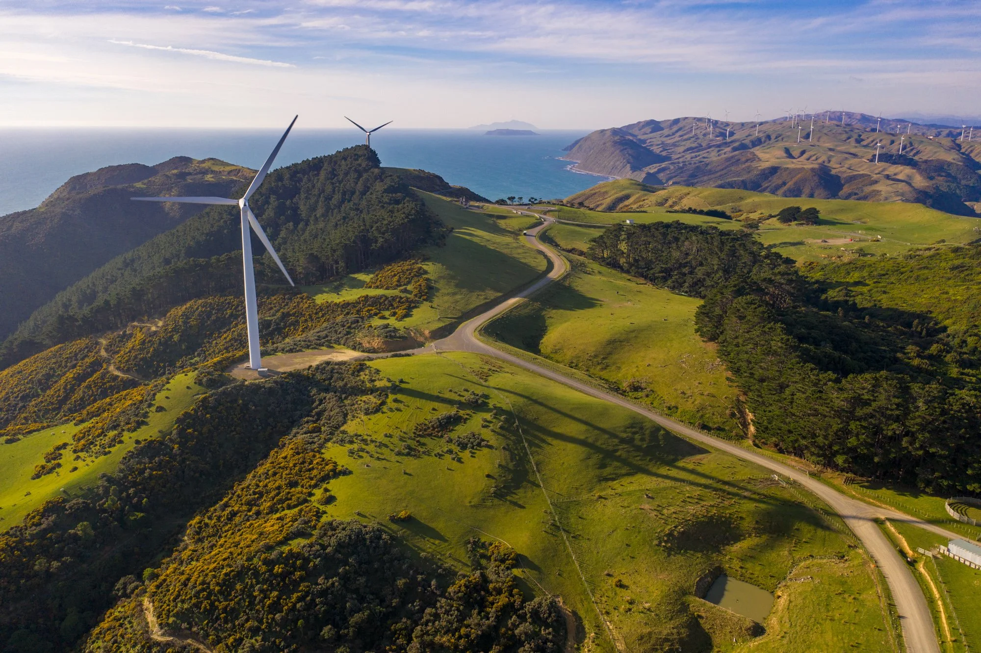 Hydrogen Strategies & Roadmaps — New Zealand Hydrogen Council