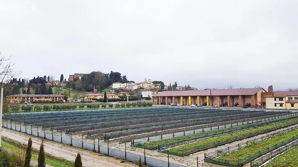 Little Gray Farms fresh escargot