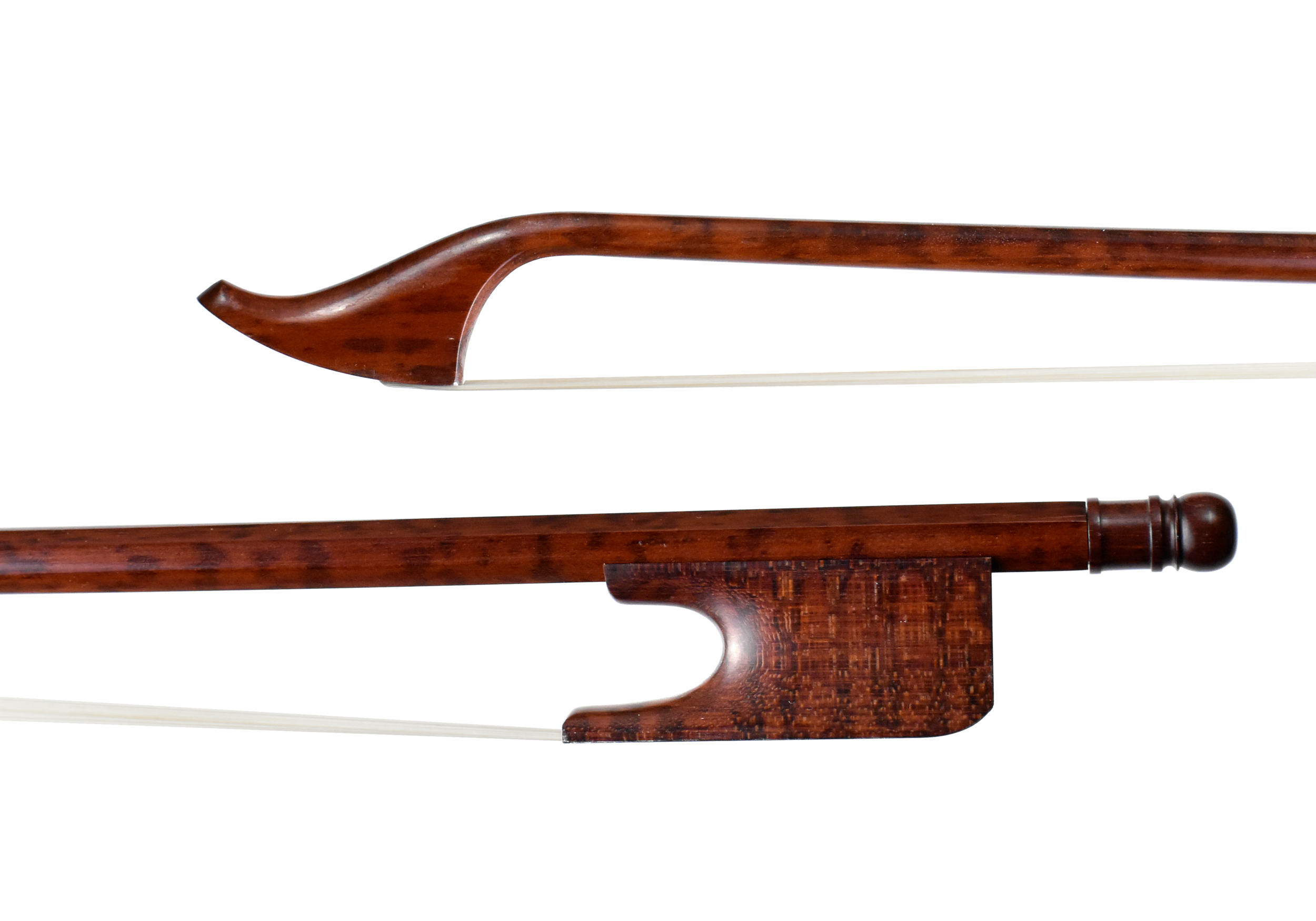 Viola da Gamba — Terra Nova Violins - Violin Shop in Texas