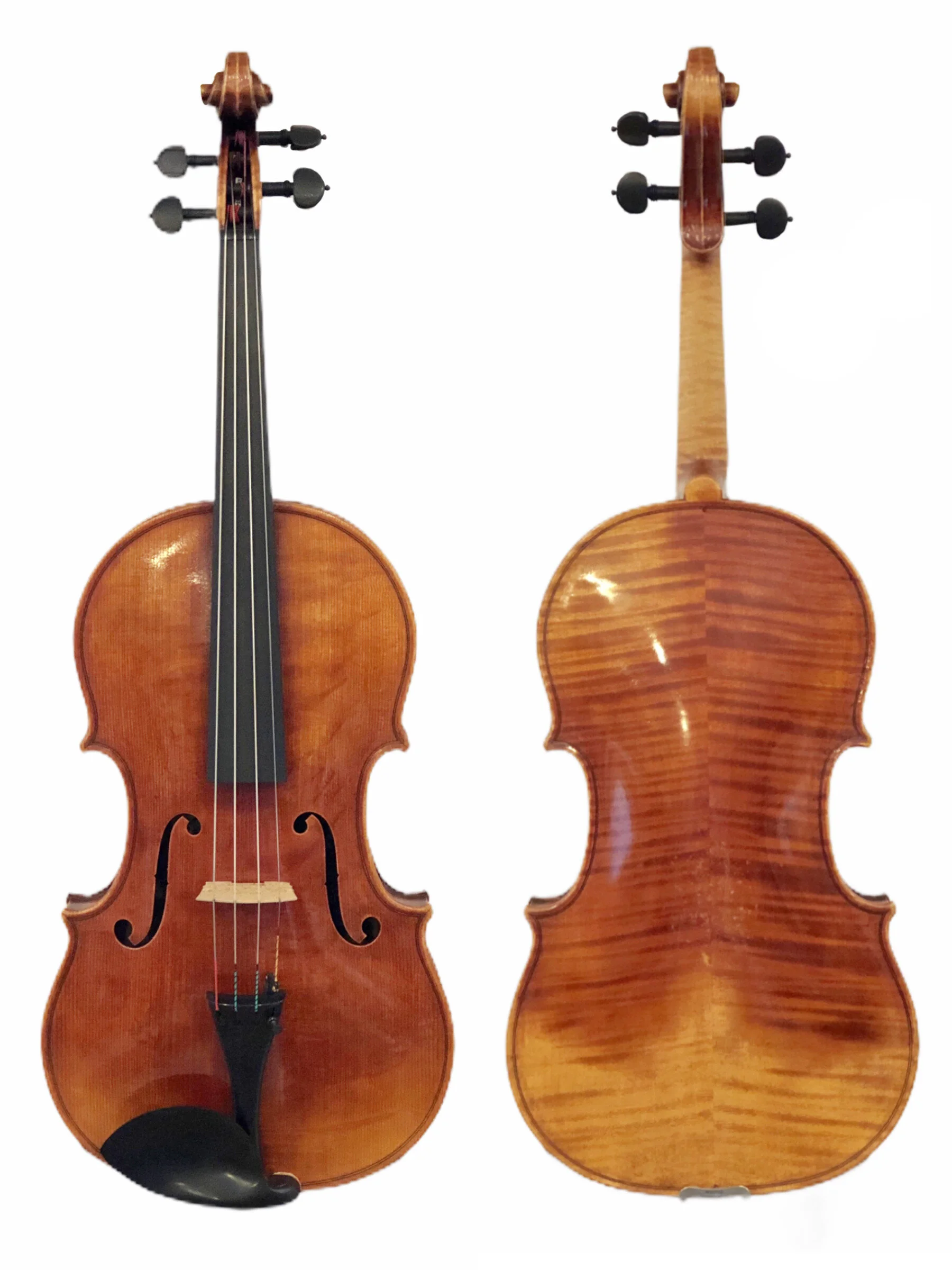 Viola Inventory — Terra Nova Violins - The Largest Violin Shop in Texas