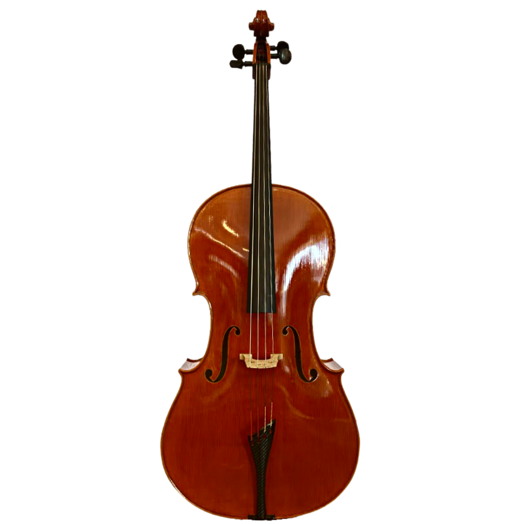 Lillo Salerno - Germany — Terra Nova Violins