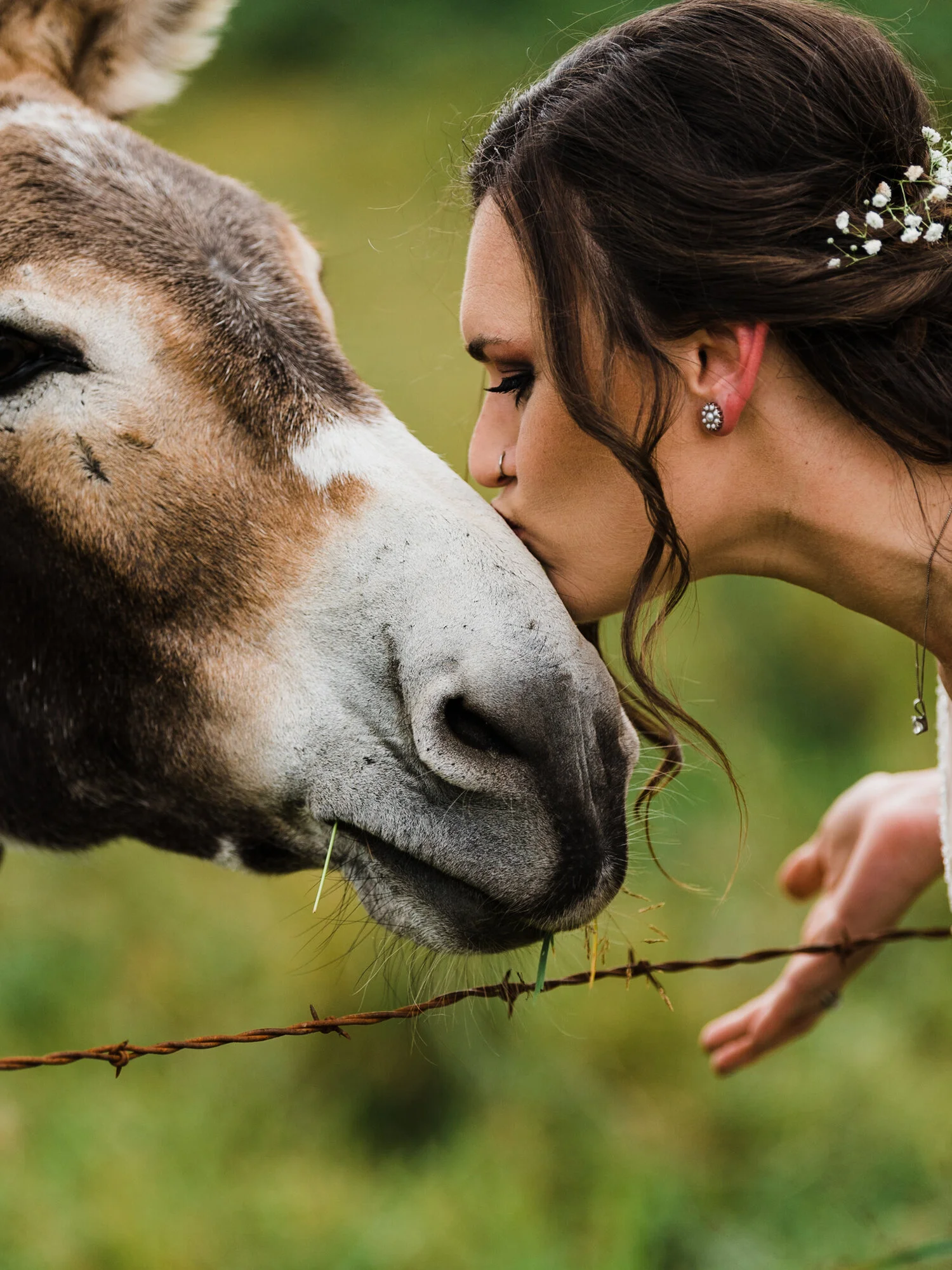 3c's farm Deming Washington — Afton Lewis Photography