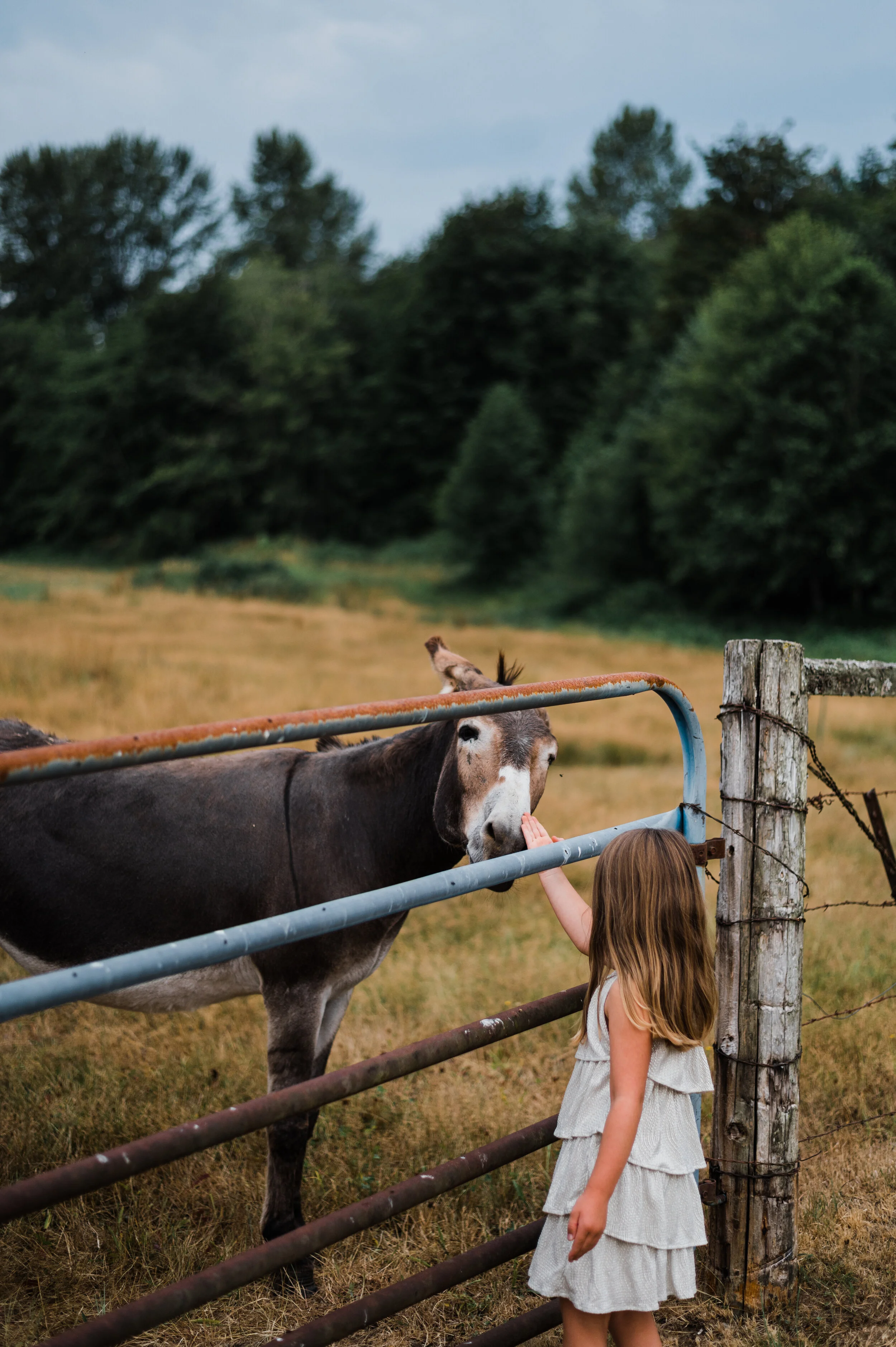 3c's Farm Wedding Deming Washington — Afton Lewis Photography