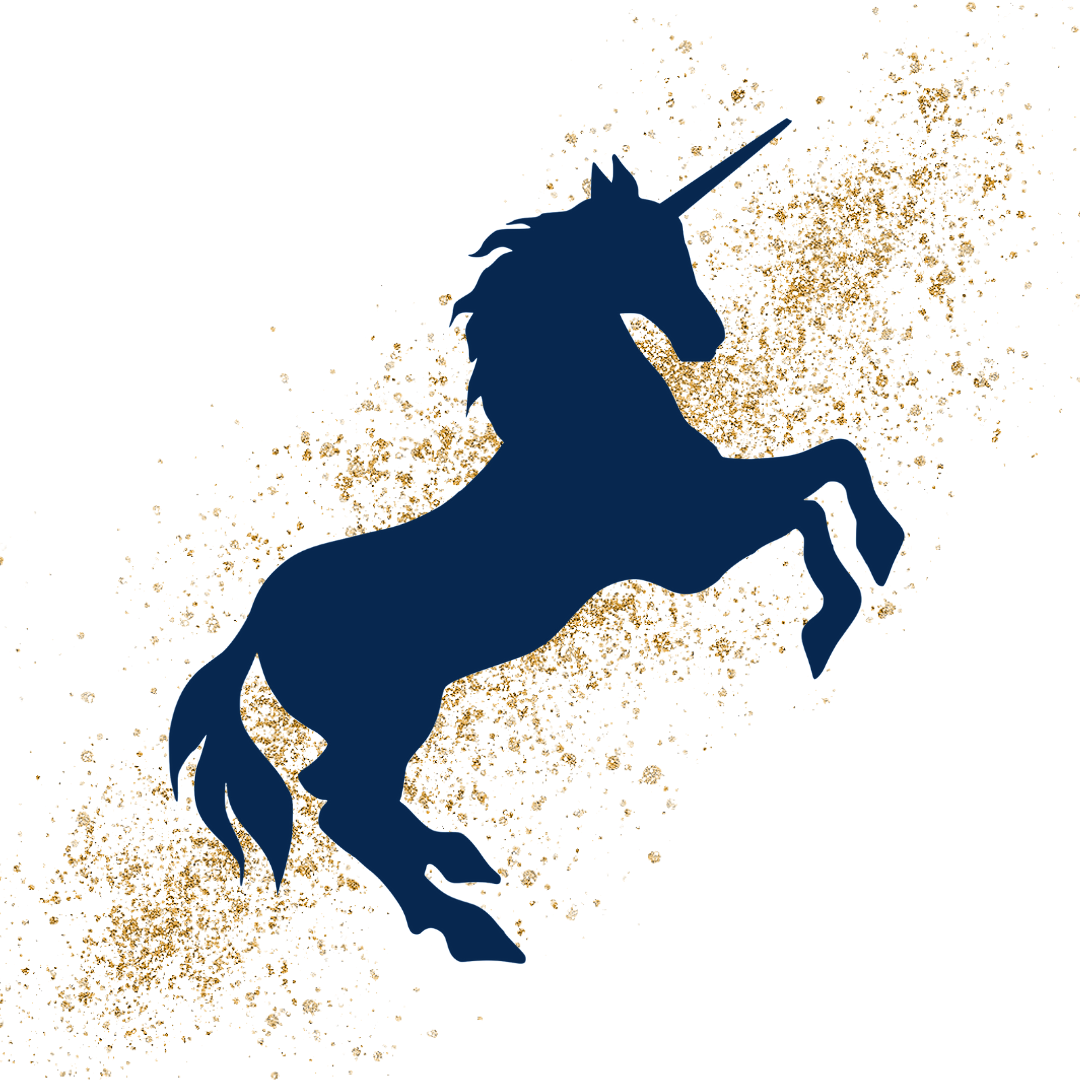 The Visible Unicorn Challenge — Bec Sands