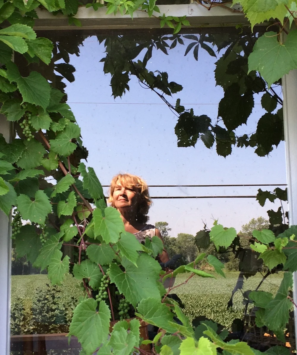 The Stone — Marianne Ackerman