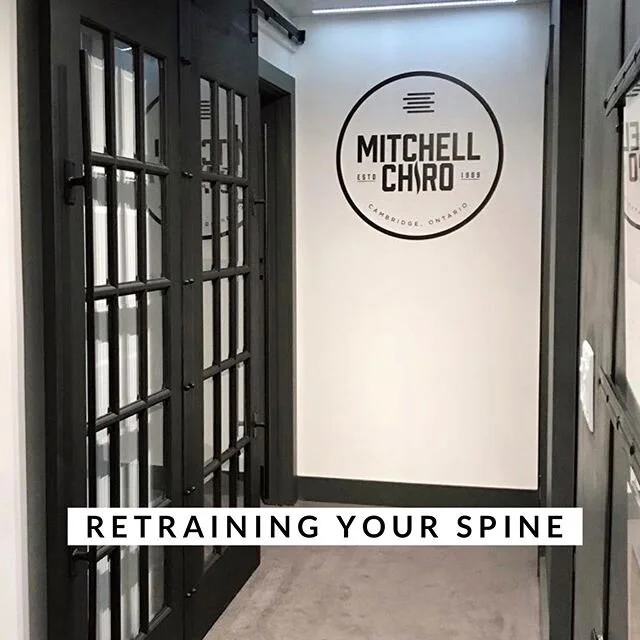 Local Chiropractor Cambridge, Ontario — Mitchell Chiropractic