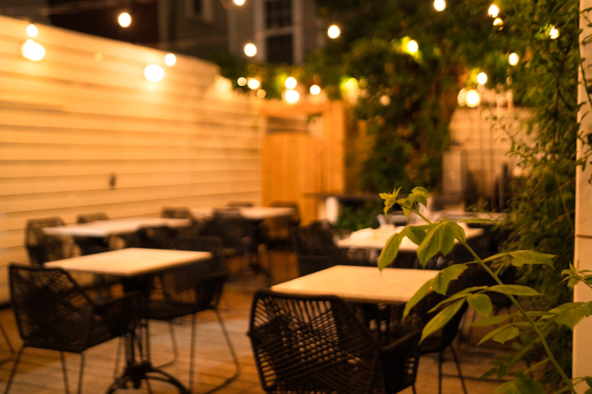 Garden — L'Accolade