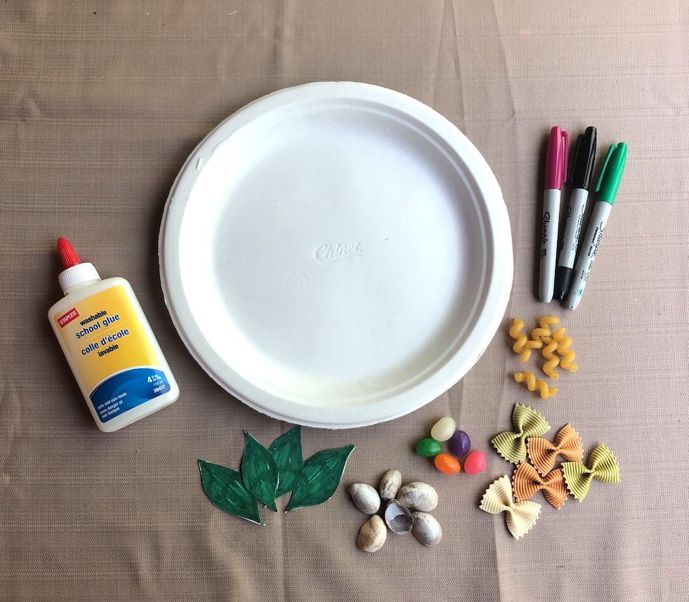 Butterfly Life Cycle Pasta Craft