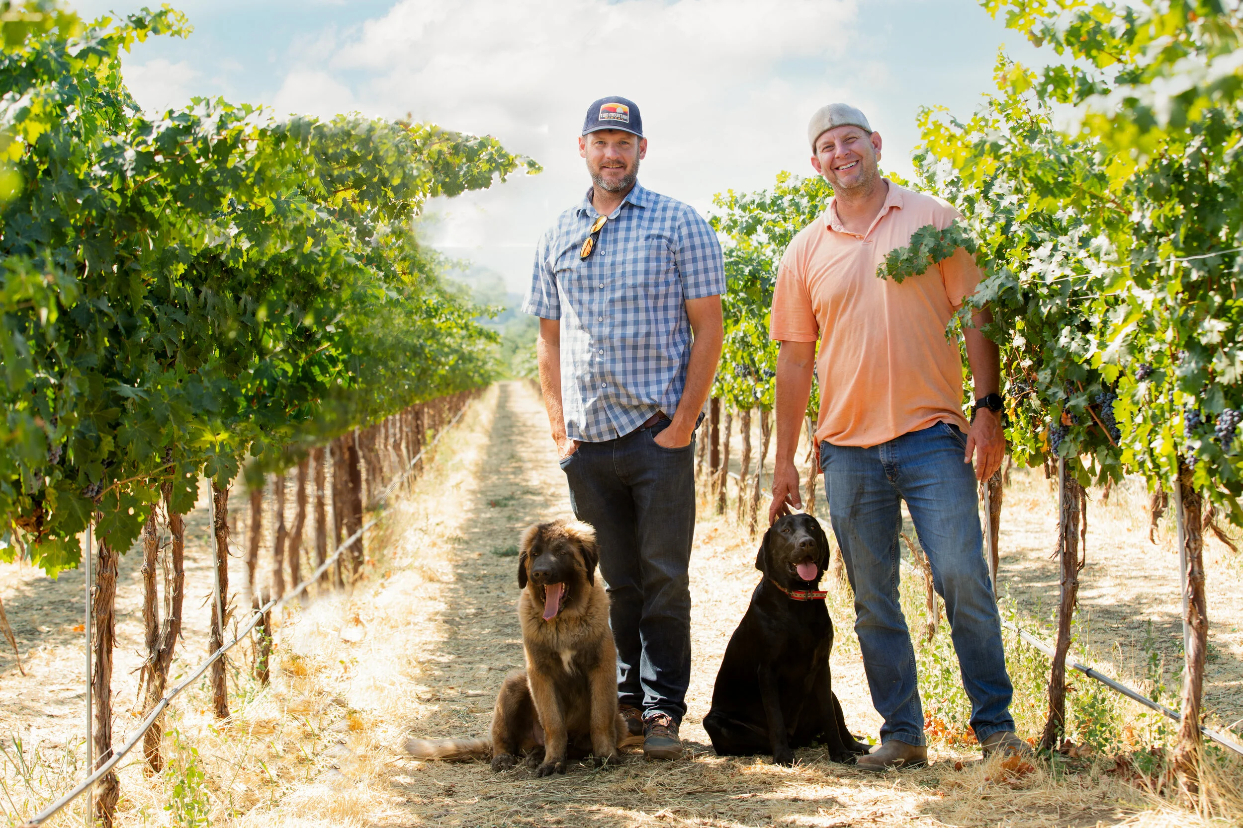 Winery Events — Two Mountain Winery