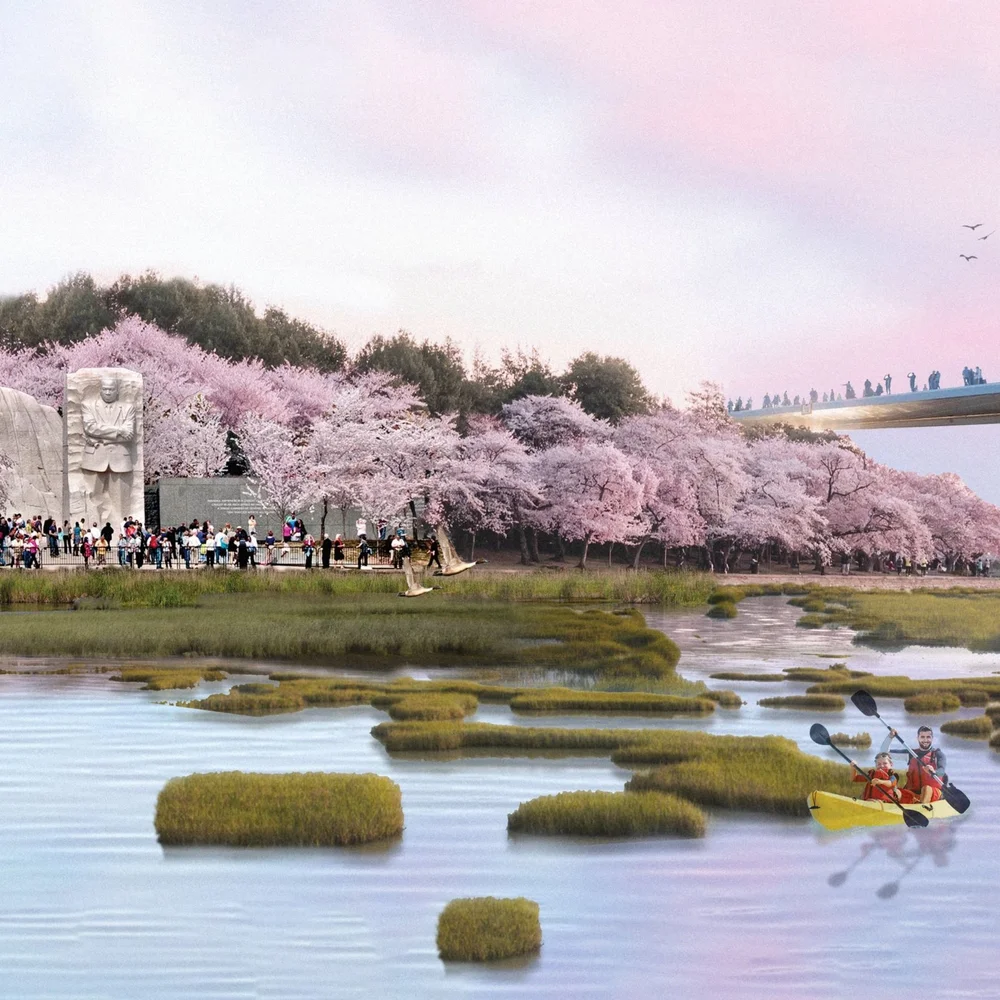 Venice Biennale — ISTUDIO Architects