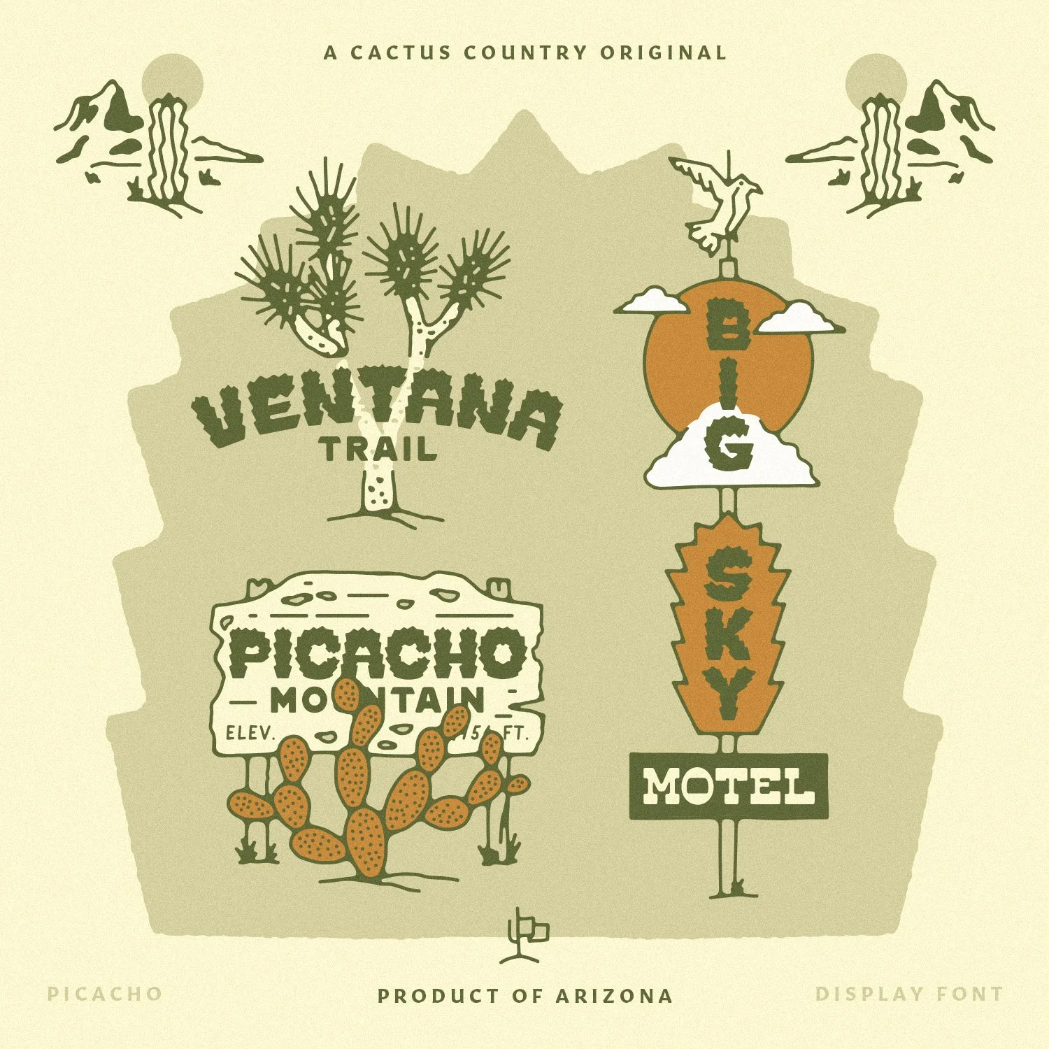 Cactus Derby — Cactus Country
